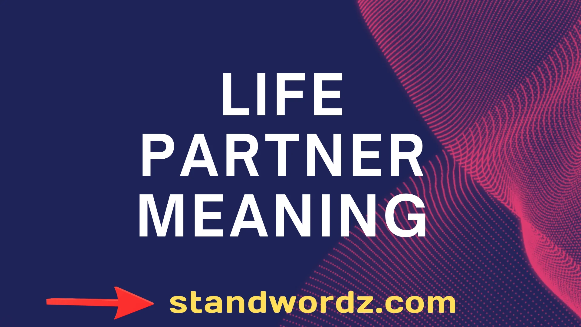 Life Partner Meaning vs Spouse: What’s the Real Difference?