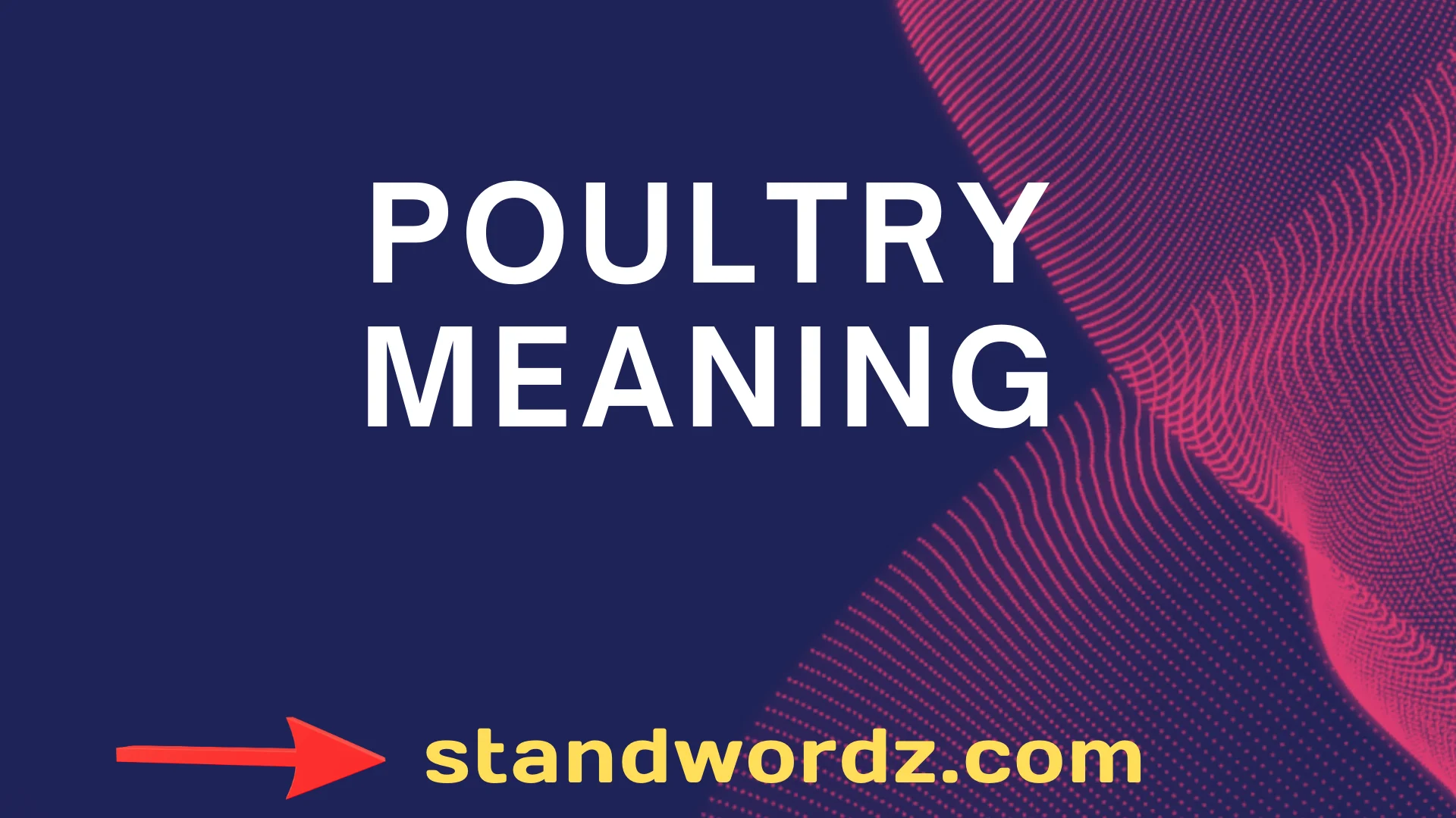 What Is Poultry? Poultry Meaning, Uses, and Everyday Food Examples