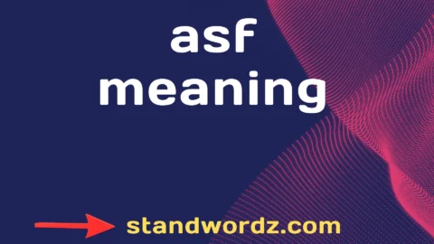 What Is RS? Modern Slang Meaning With Real-Life Examples